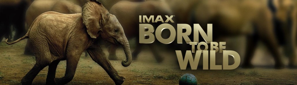 Born to be Wild - IMAX Victoria