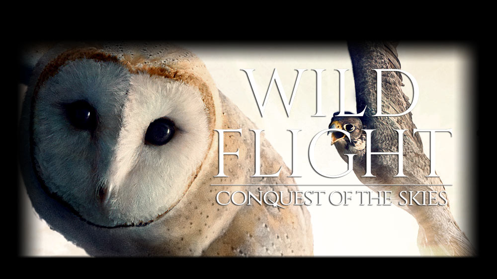 IMAX Movie | IMAX Victoria | Royal BC Museum, Victoria, BC