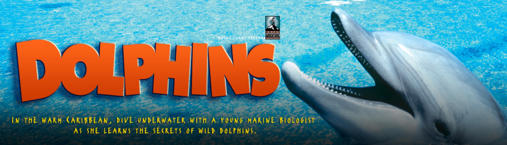 Dolphins - IMAX Victoria