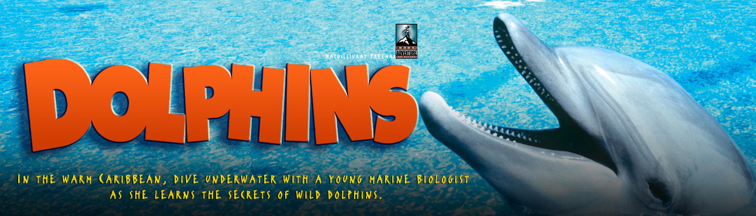 Dolphins - IMAX Victoria